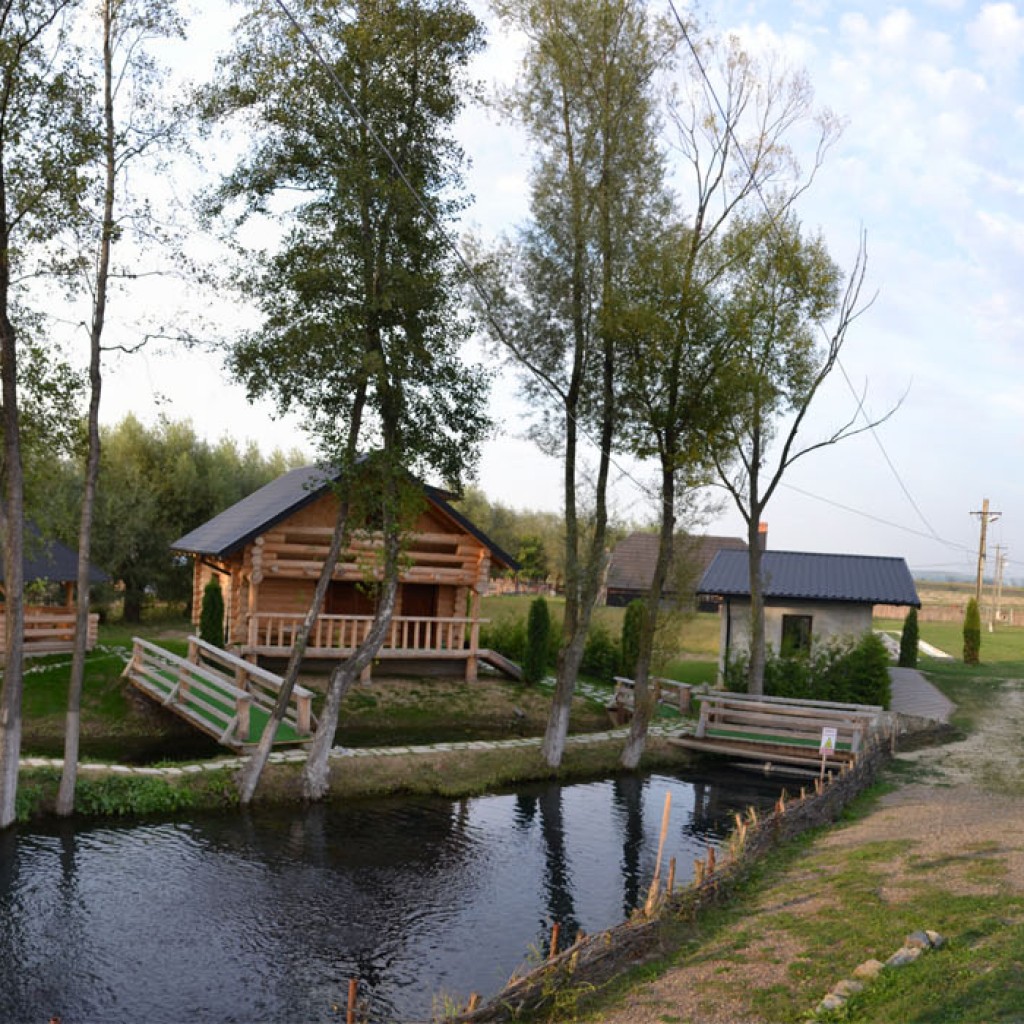 Pastravarie Suceava, pastravarie Neamt Bacau, pastravarie Botosani ...